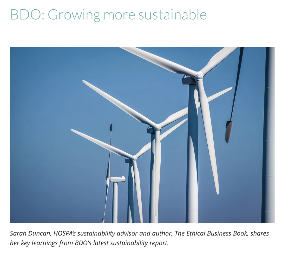 BDO: GROWING MORE SUSTAINABLE - The Sustainable Business Book